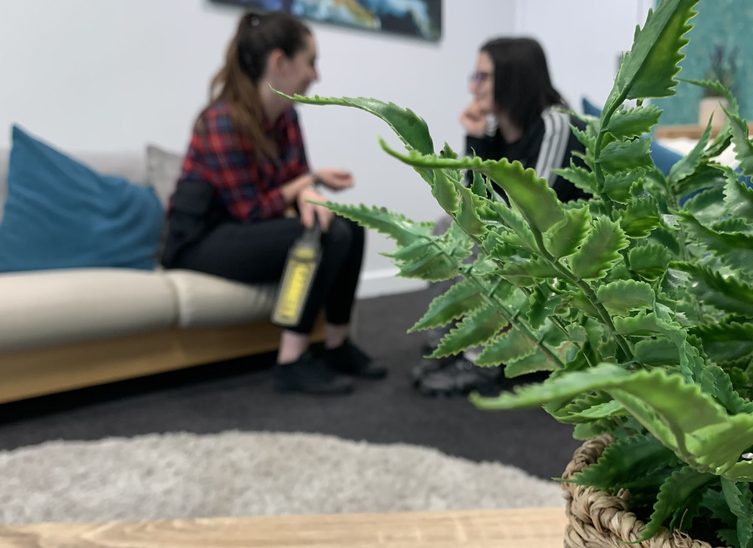 Standard 20 - Secure Care Pathway and Standards Scotland